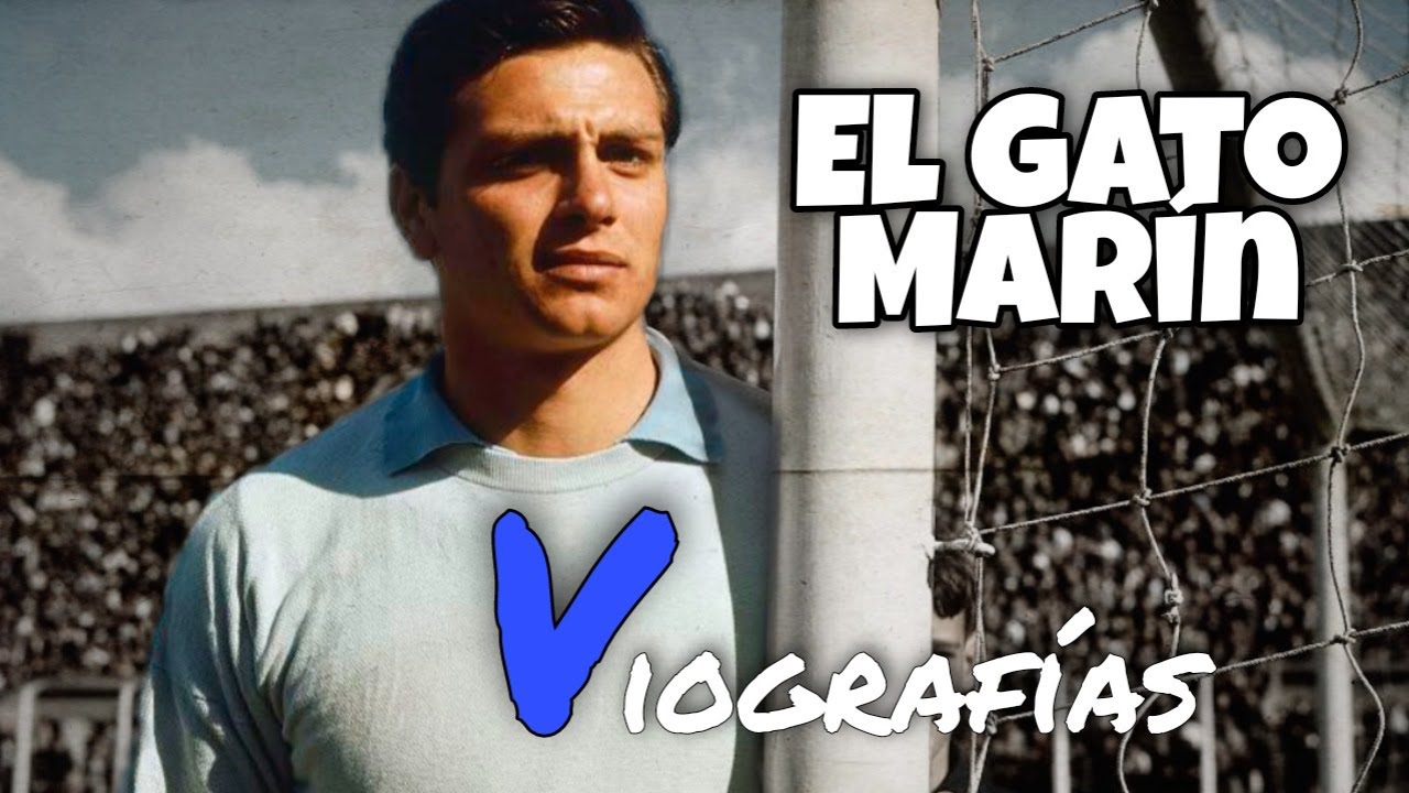 La Historia Del Gato Marín De ídolo En Vélez A Leyenda En Cruz Azul