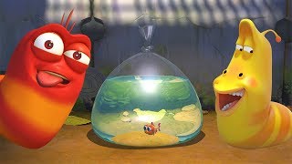 Larva Wiped Out Cartoon Movie Cartoons For Children Larva