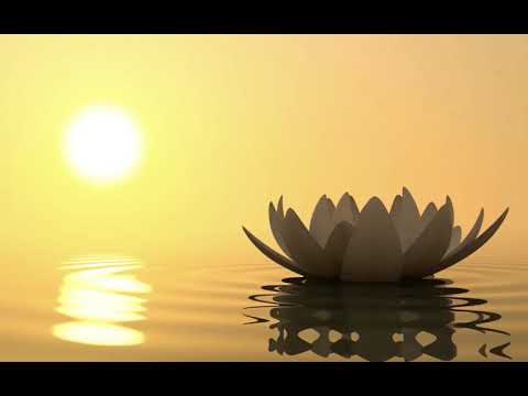 Sadhguru Guided Meditation Youtube