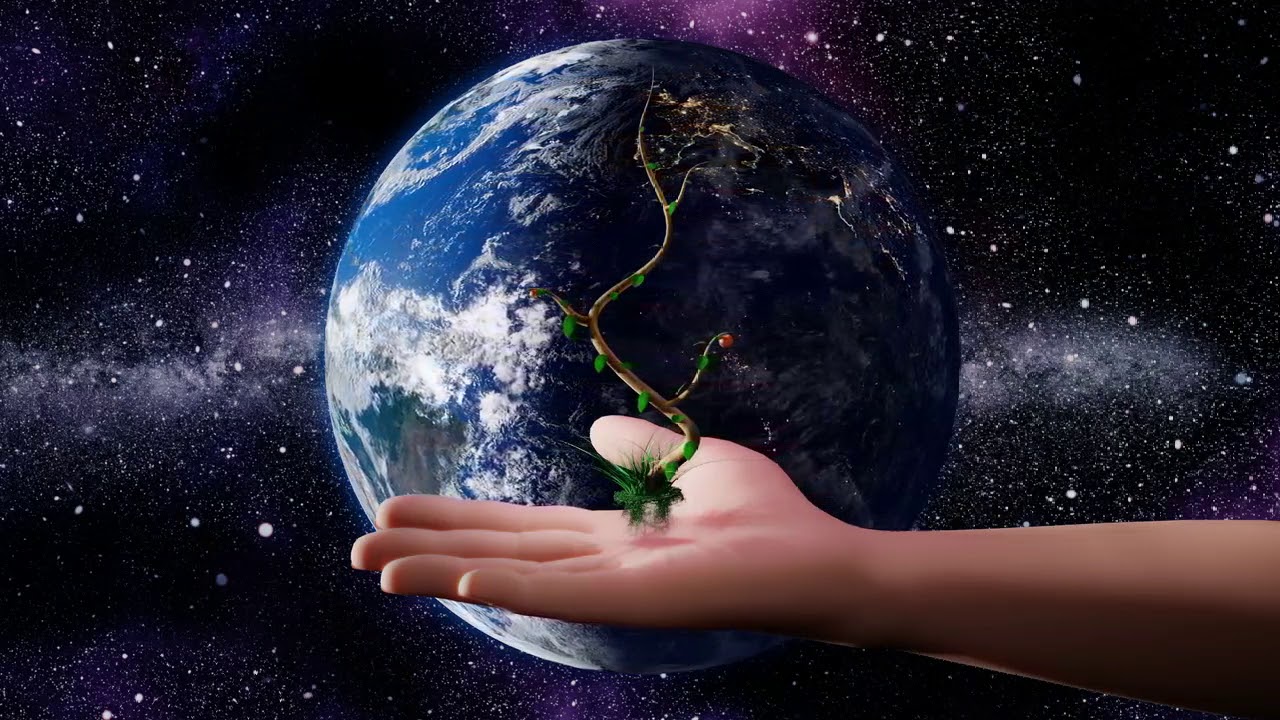 Environmental Youtube