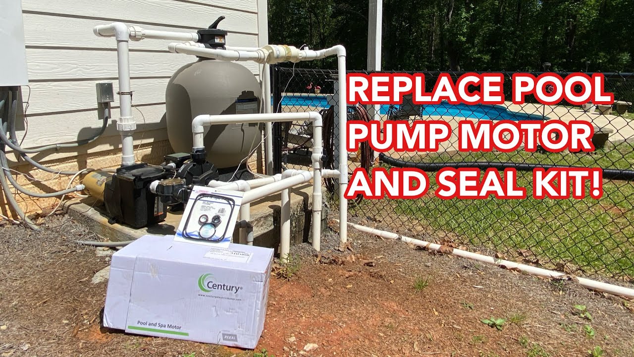 Pool Pump Seal Replacement Instructions At James Schofield Blog