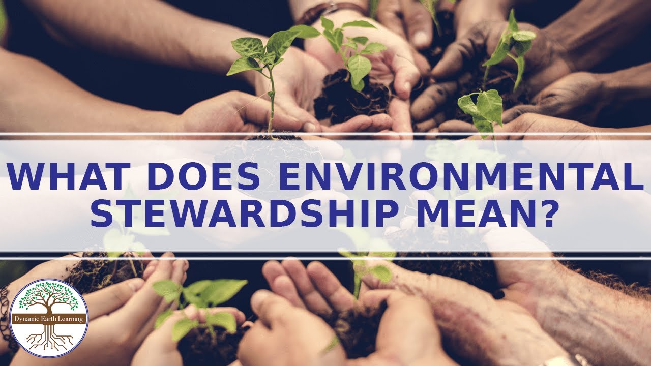What Does Environmental Stewardship Mean Youtube