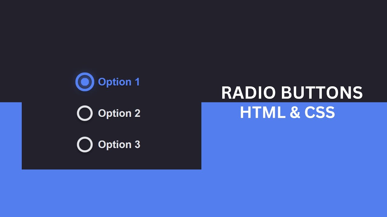 Custom Radio Button Using Css Css Radio Button Youtube