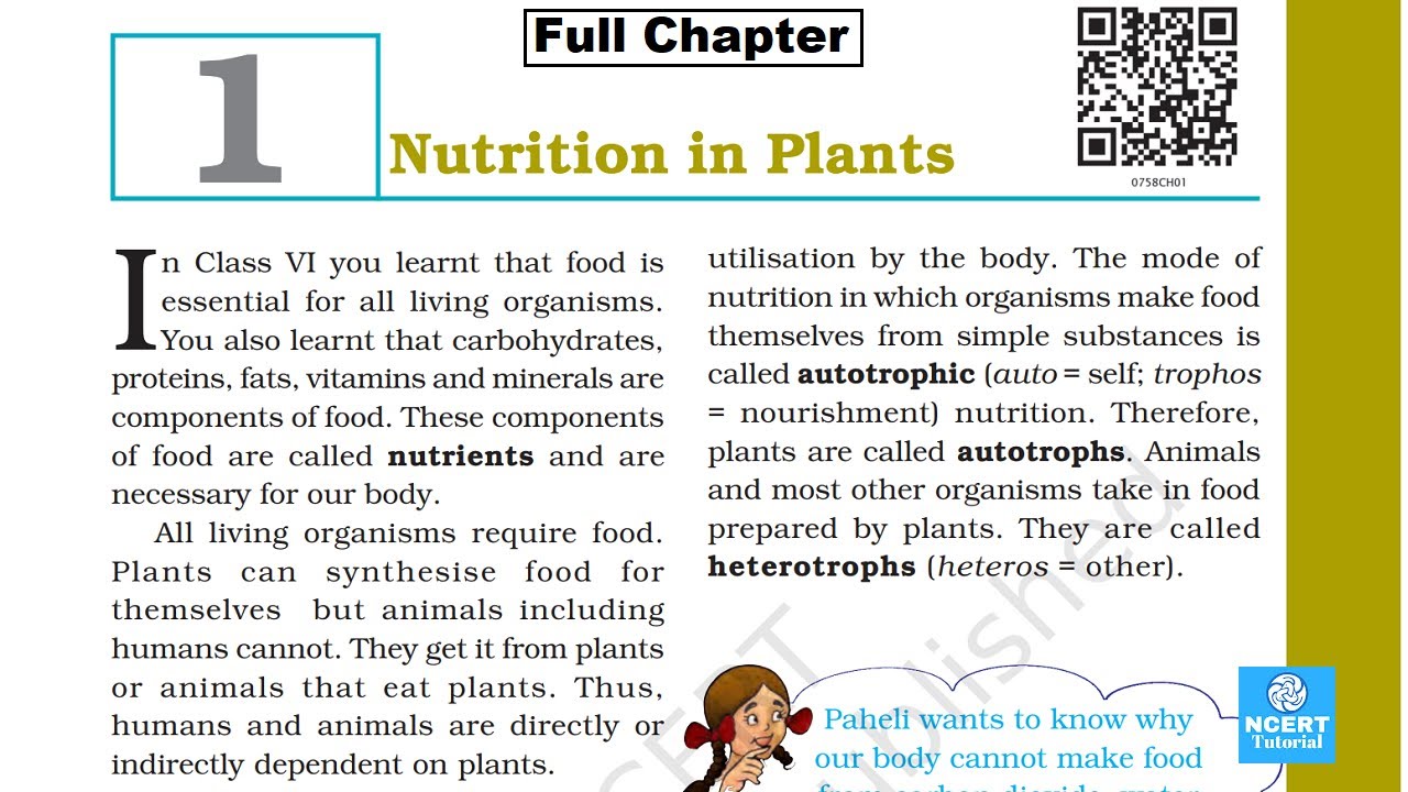 Nutrition In Plants Class 7 Science Modes Of Nutrition Ncert Exemplar