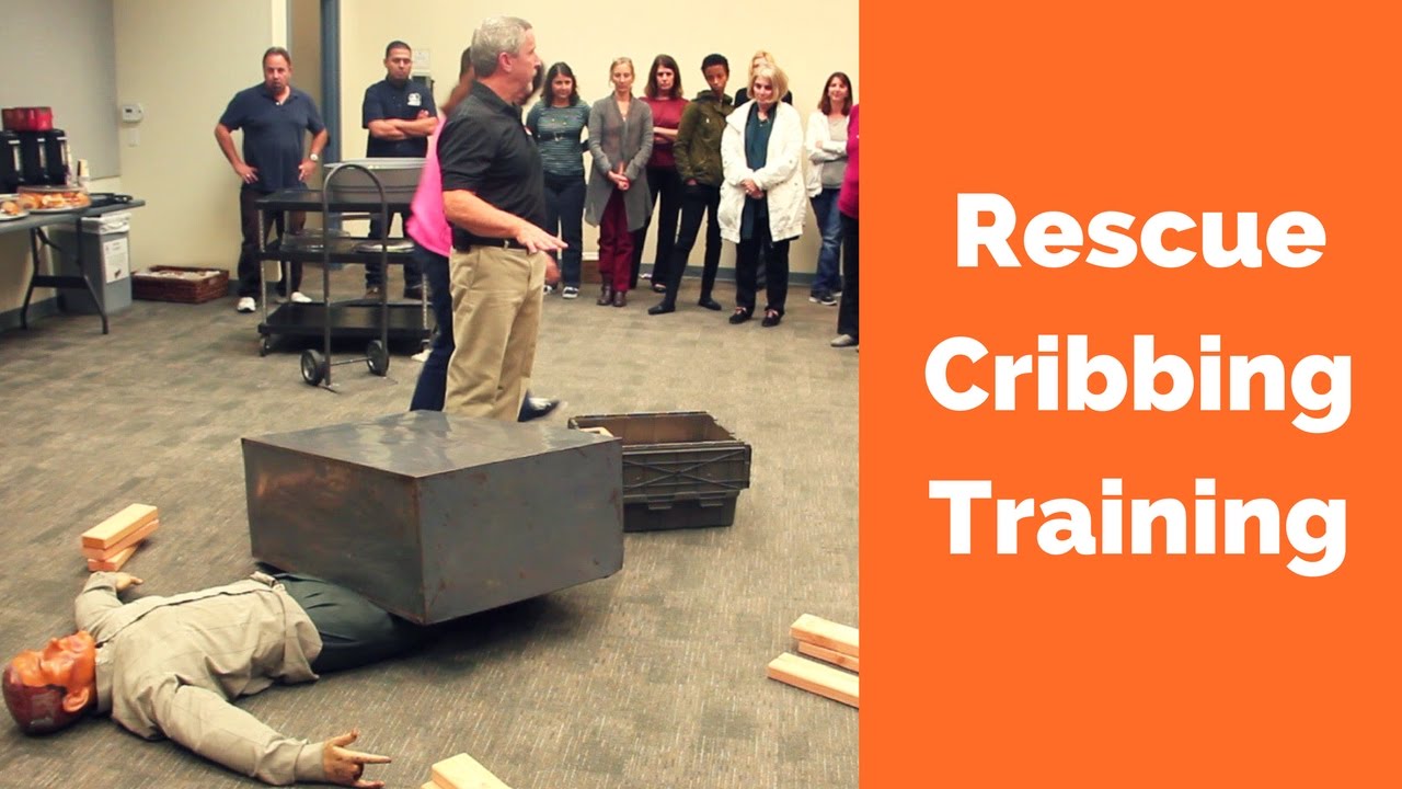 What Is Cribbing In School At Matilda Chomley Blog