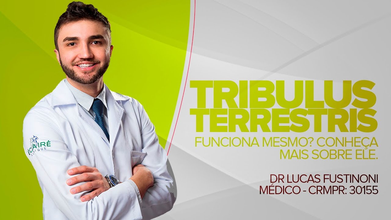 Tribulus Terrestris Funciona Mesmo Dr Lucas Fustinoni Médico