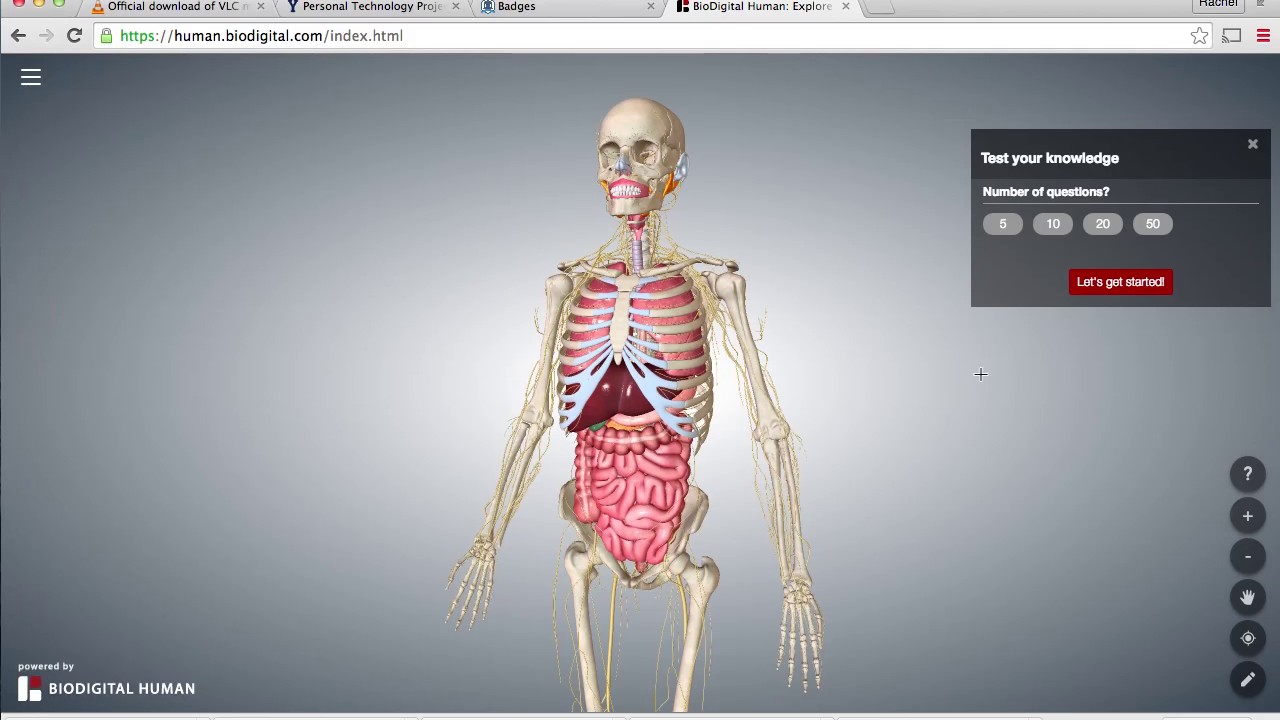 Biodigital Human Youtube