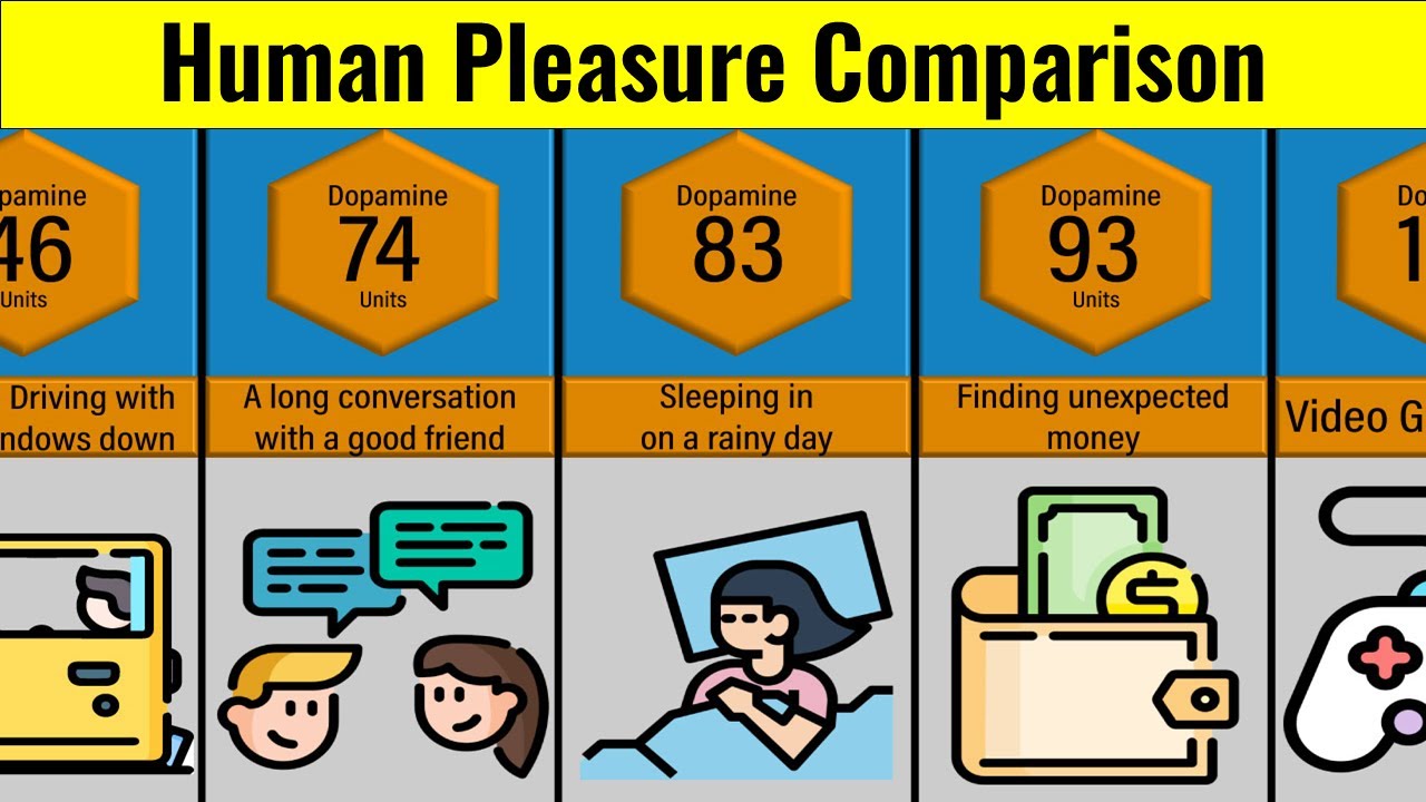 Comparison Human Pleasure Human Pleasures Of All Time Things Which