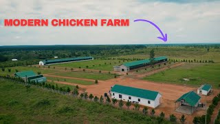 Why Hellmann Is Taking Over Modern Poultry Farming In Africa Mzee ...