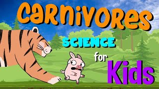 Alligators And Crocodiles For Kids Learn About These Powerful