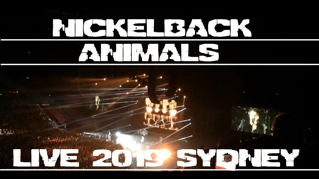 Nickelback Animals Live Sydney 2019 Youtube