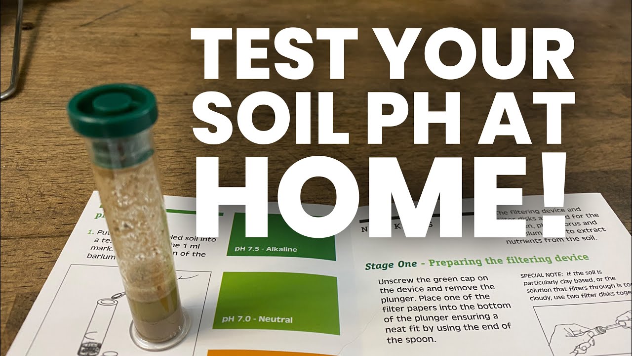 Diy Soil Test