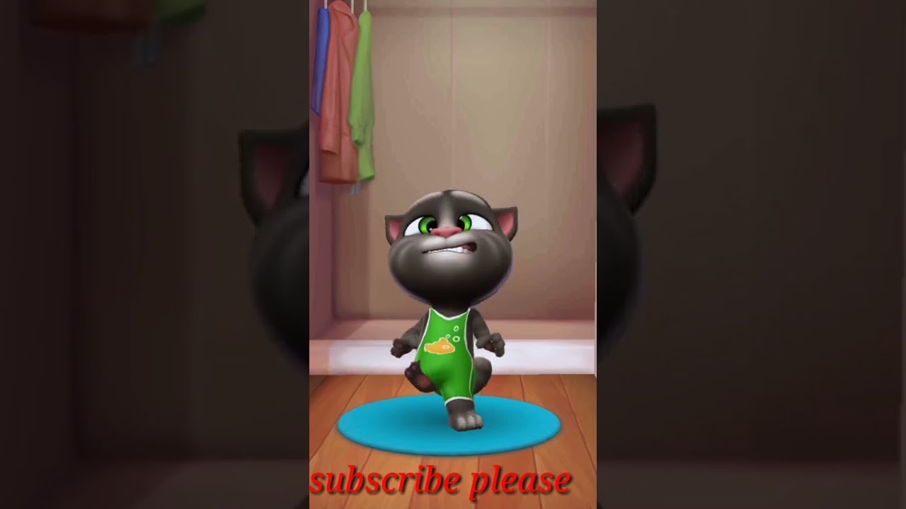 Tom Cat Cartoon Youtube