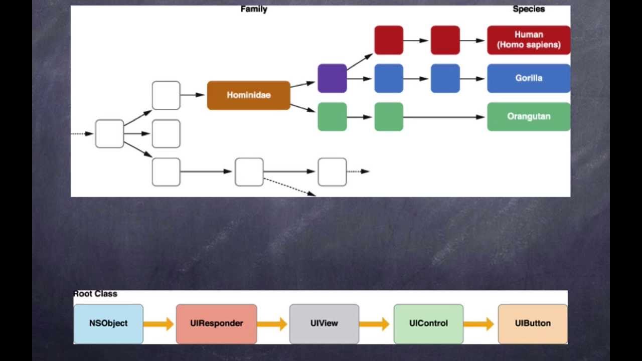 Objective C Tutorials Object Oriented Programming Youtube