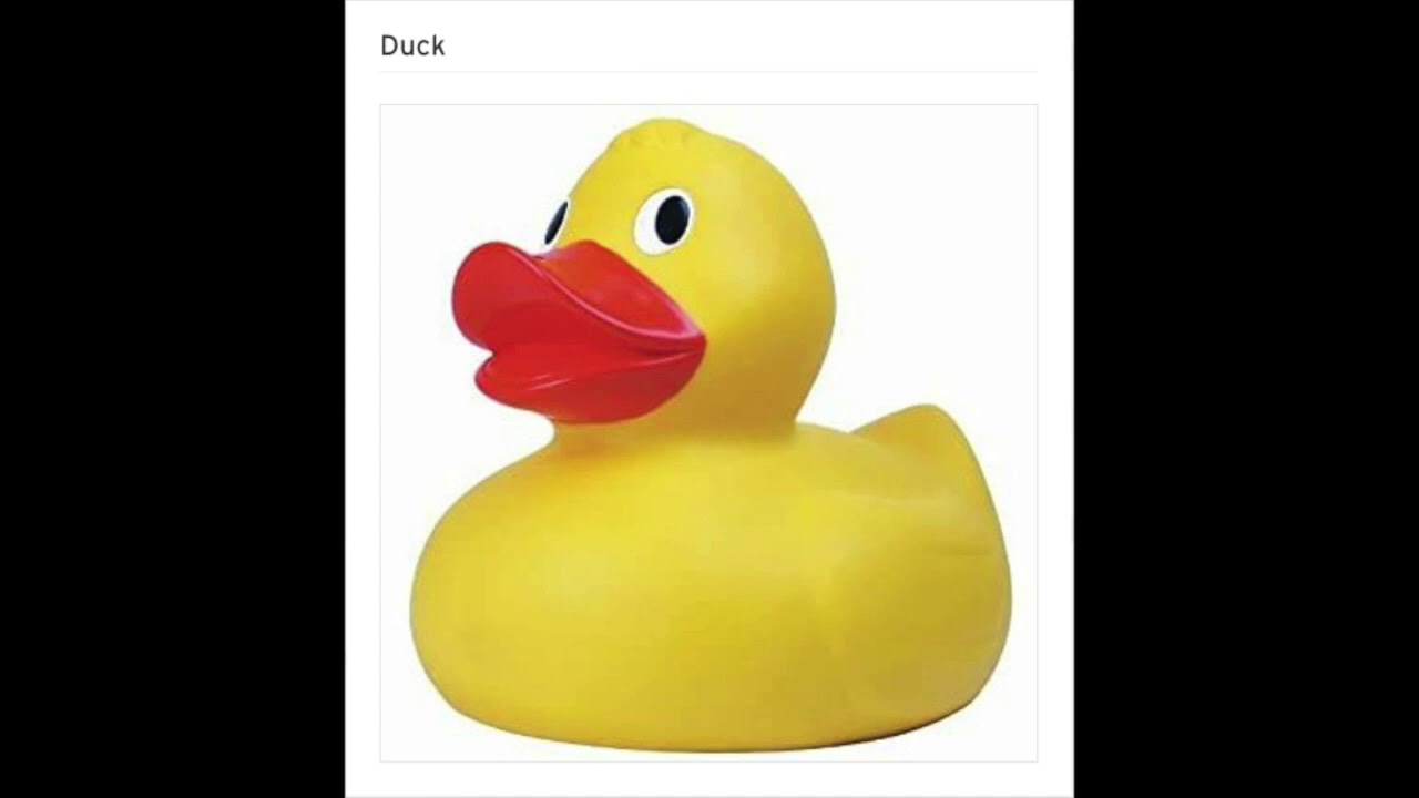 Duck Youtube Music