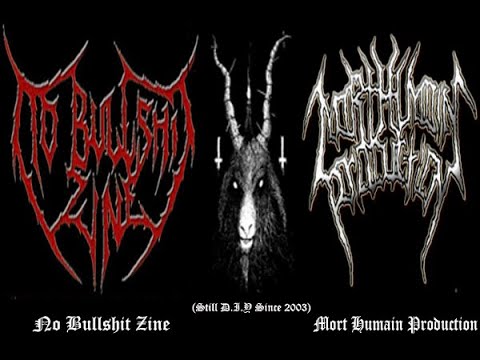 No Bullshit Zine Compilation Vol Ii Part 2 Youtube