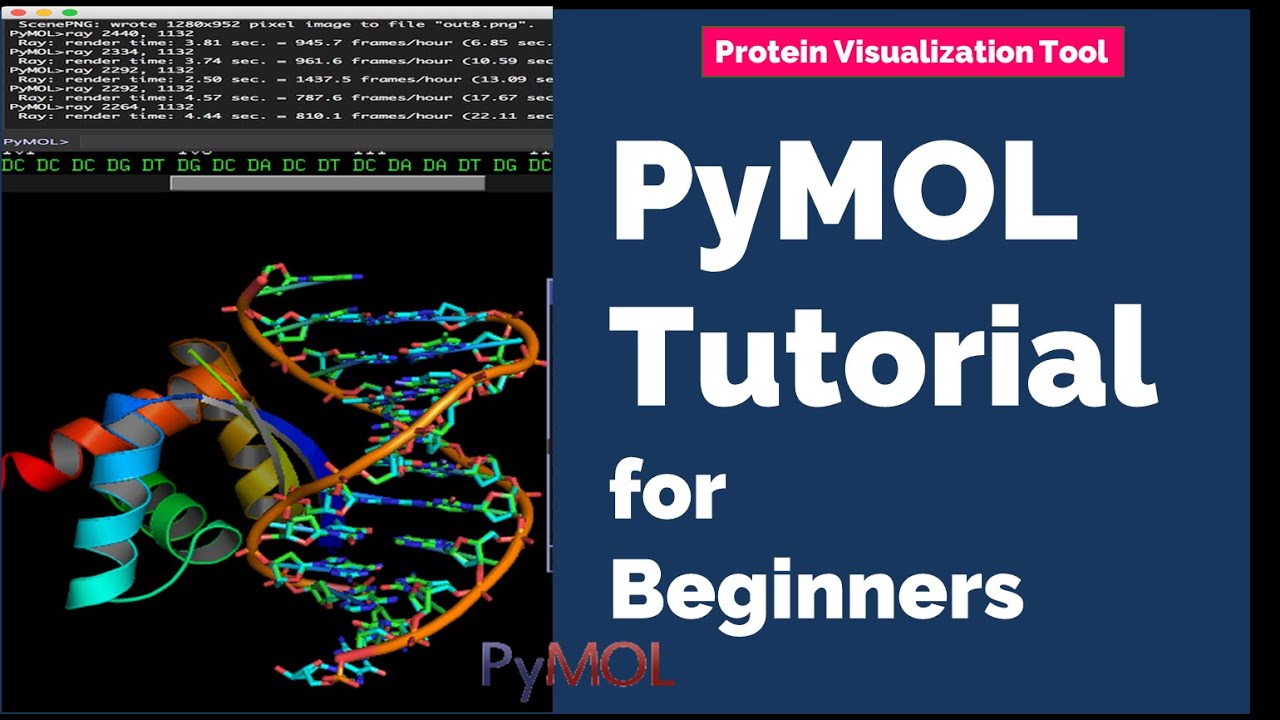 Protein Visualization Tool Pymol Tutorial For Beginners Youtube