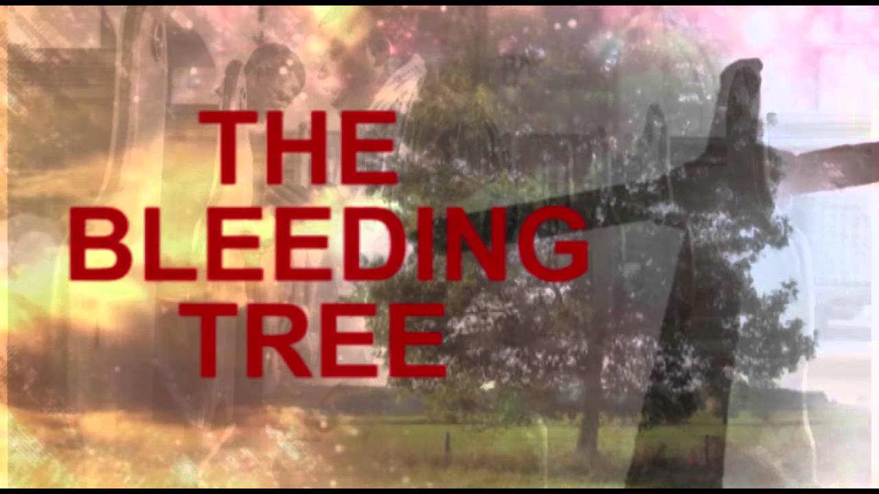 Bleeding Tree Youtube