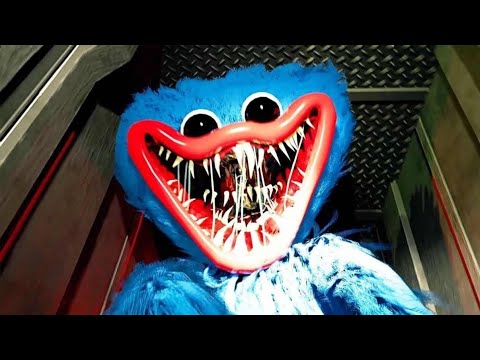 Hakuje Poppy Playtime Filip Haker Youtube