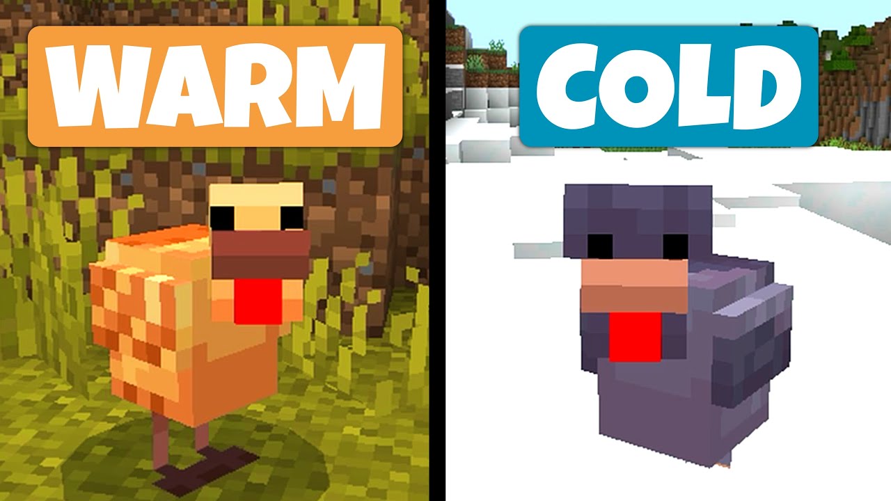 New Chicken Variants Explained Everything You Need To Know Minecraft