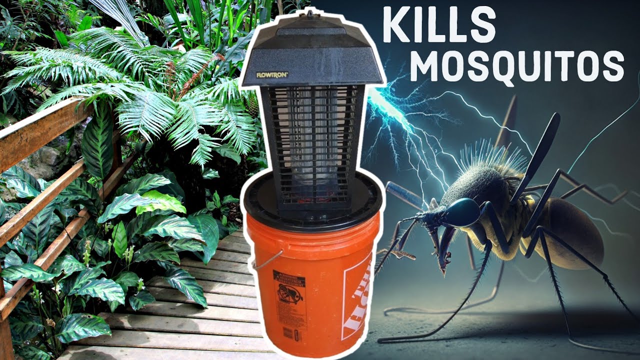 How To Make Mosquito Killer Trap Using A Bug Zapper Bucket Diy
