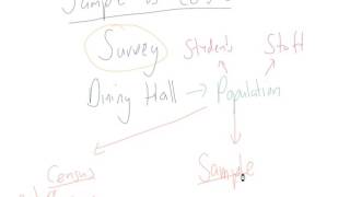 Sample Vs Census Academic Makers