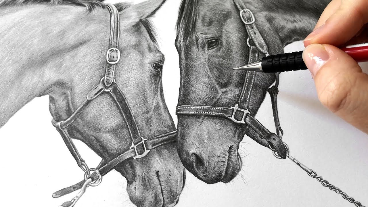 Easy Realistic Horse Drawing Realistic Dapple Gray Horse Drawing With