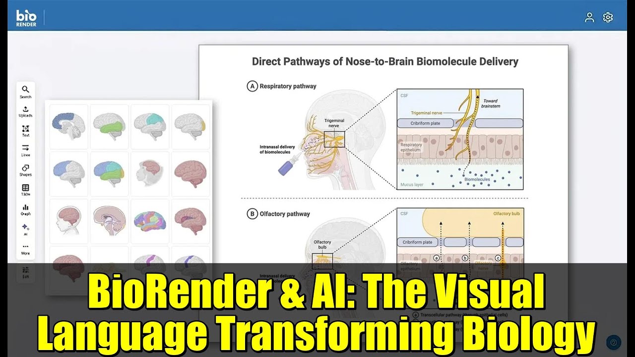 Biorender Ai The Visual Language Transforming Biology Youtube