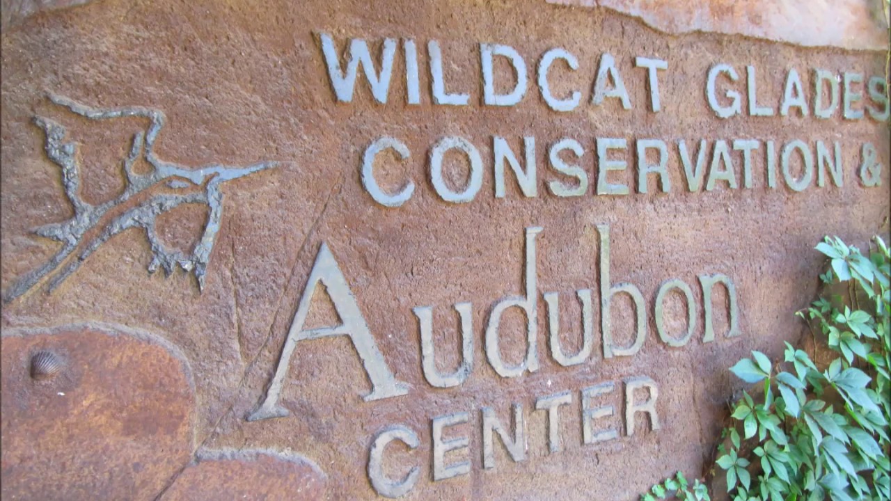 Wildcat Glades Conservation Audubon Center Joplin Mo Youtube