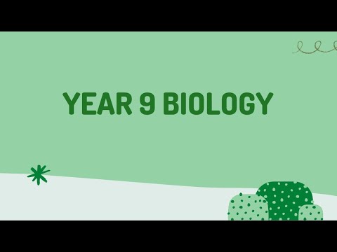 Environmental Variation Youtube