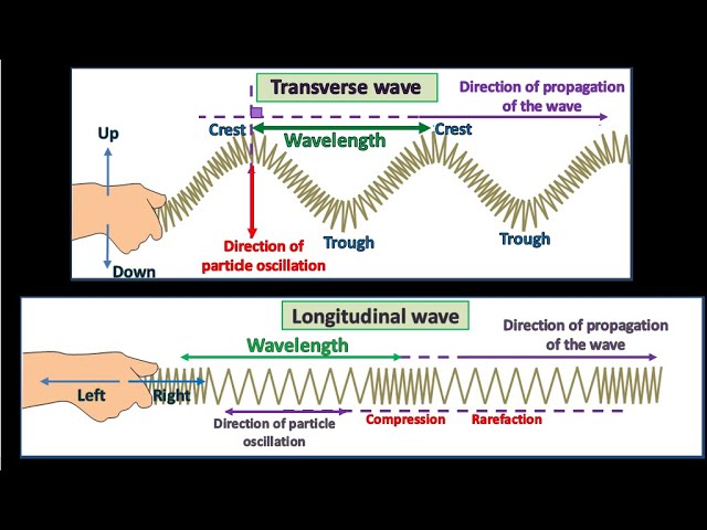 Mechanical Wave Diagram Waves Simple Concept Map Interactive Science