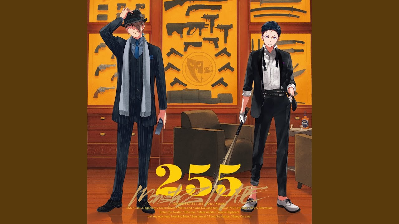 255 Youtube