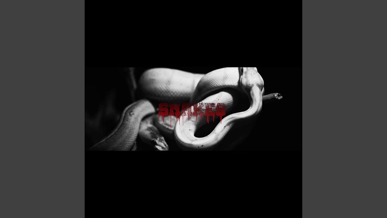 Snakes Youtube