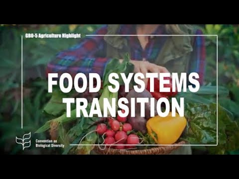 Global Biodiversity Outlook 5 Food Systems Transition Youtube