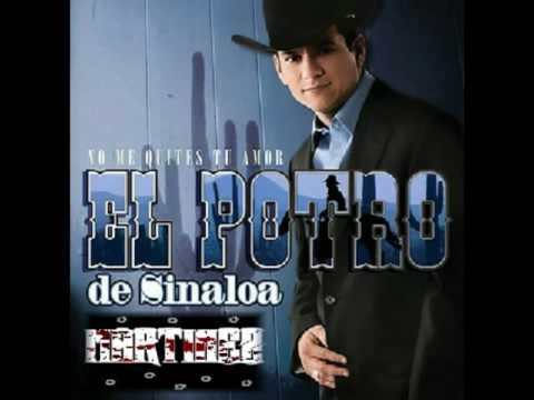 El Potro De Sinaloa Alchetron The Free Social Encyclopedia