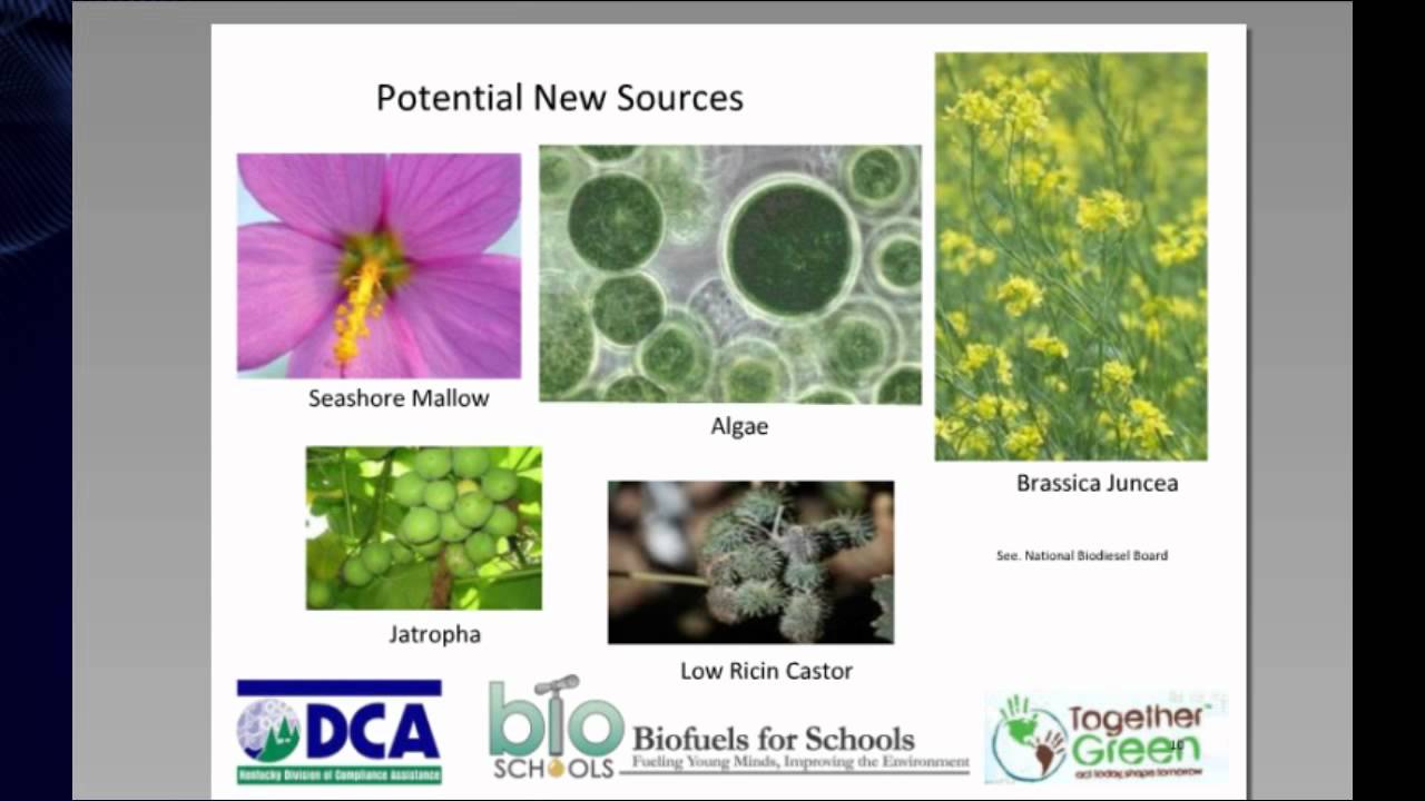 Biodiesel Learning Module 1 Youtube