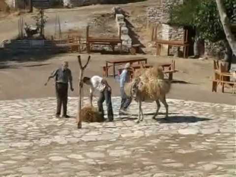 ΘΕΡΙΣΜΑ-ΑΛΩΝΙΣΜΑ