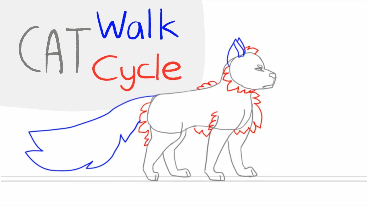 Cat Walk Cycle Practice Youtube