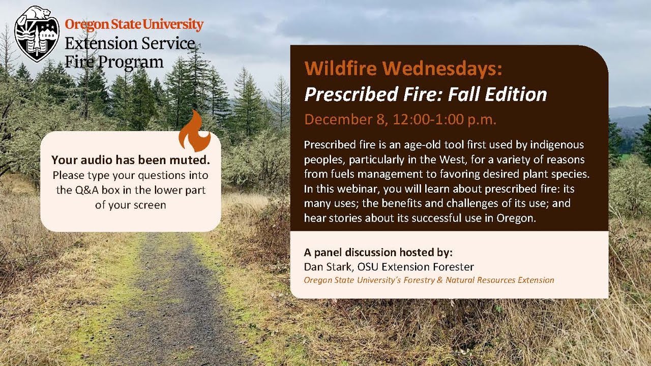 Prescribed Fire In Oregon Youtube
