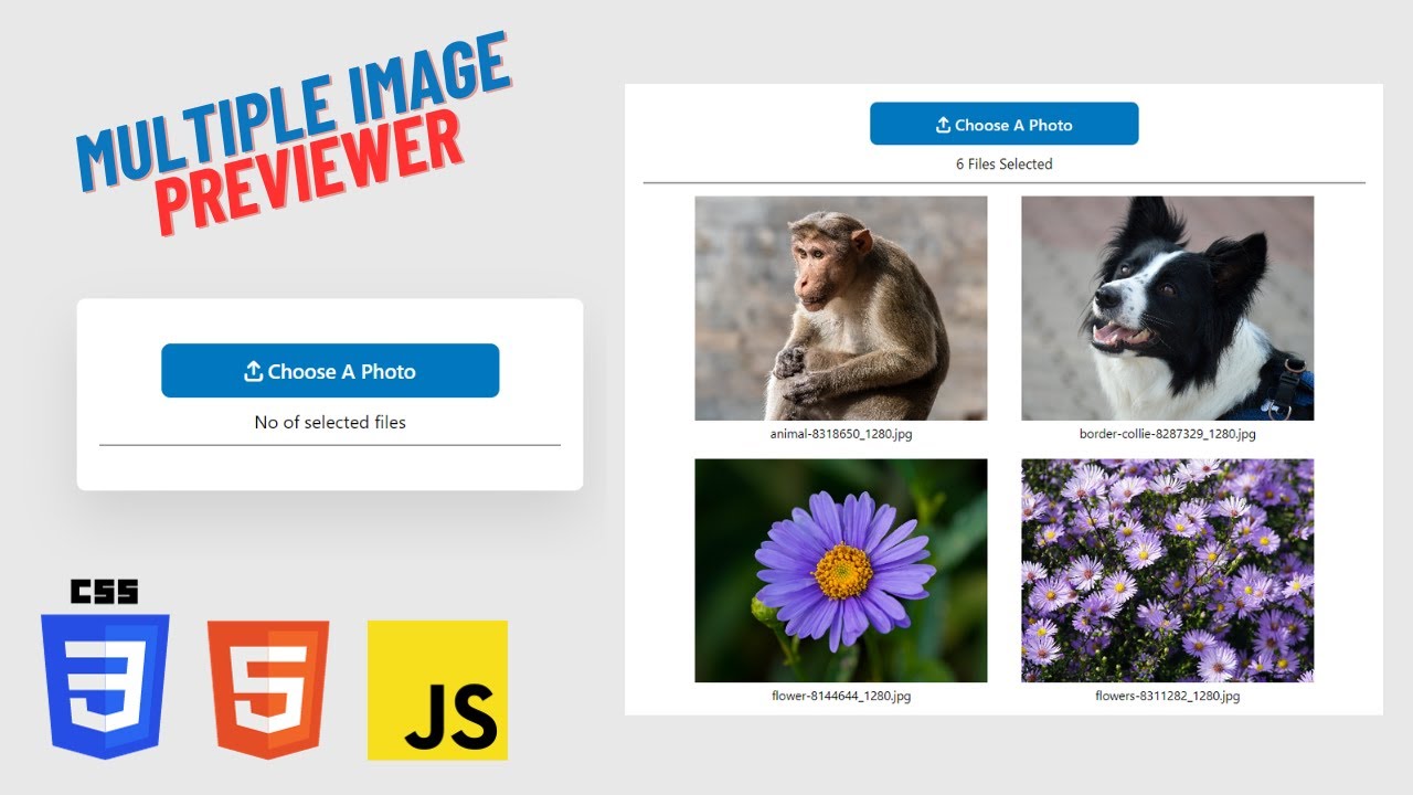 How To Create Multiple Image Previewer Using Html Css And Javascript