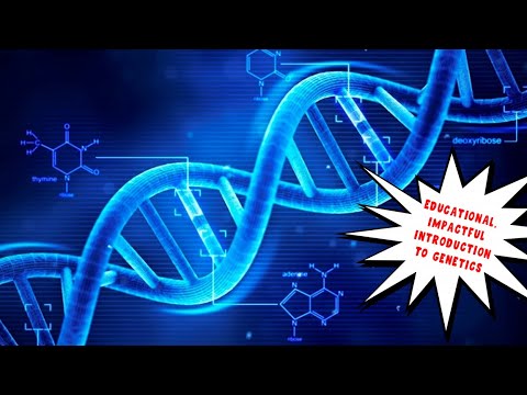 Introduction To Genetics Video Youtube
