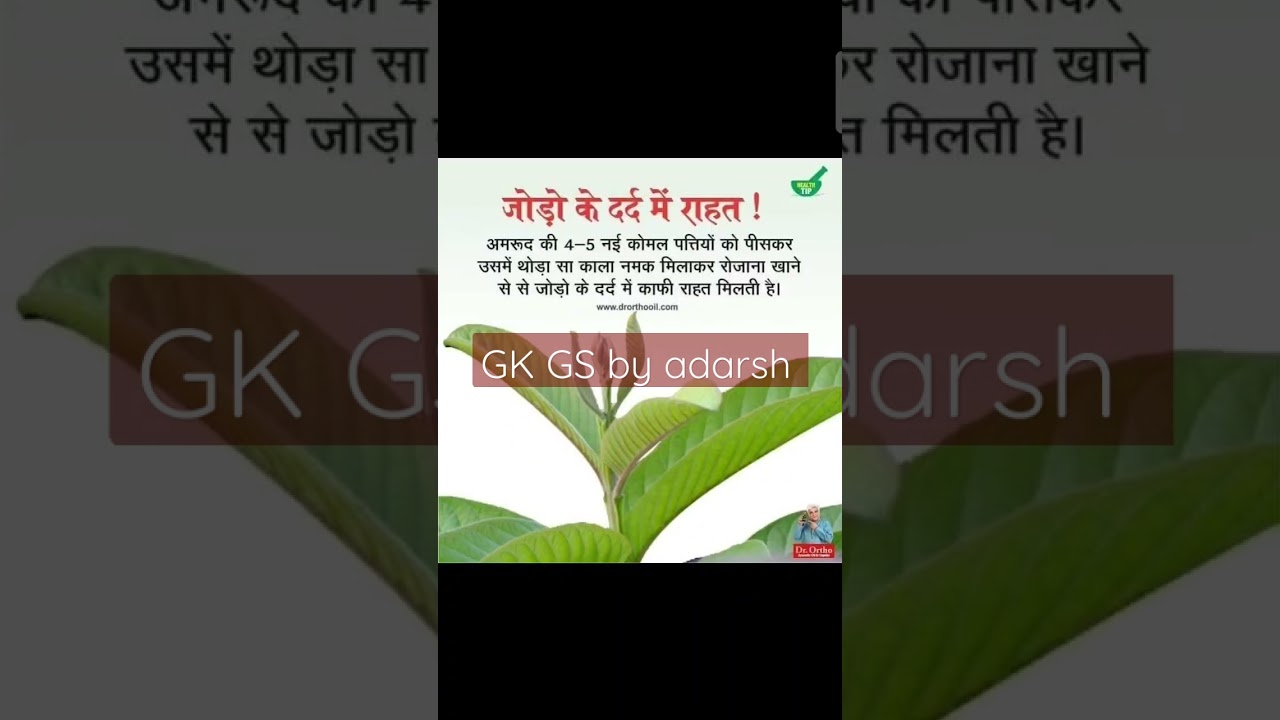 Shorts Youtubeshortsदर द Youtube