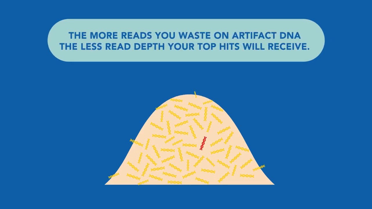 Functional Genomics Screening Tips And Tricks Youtube
