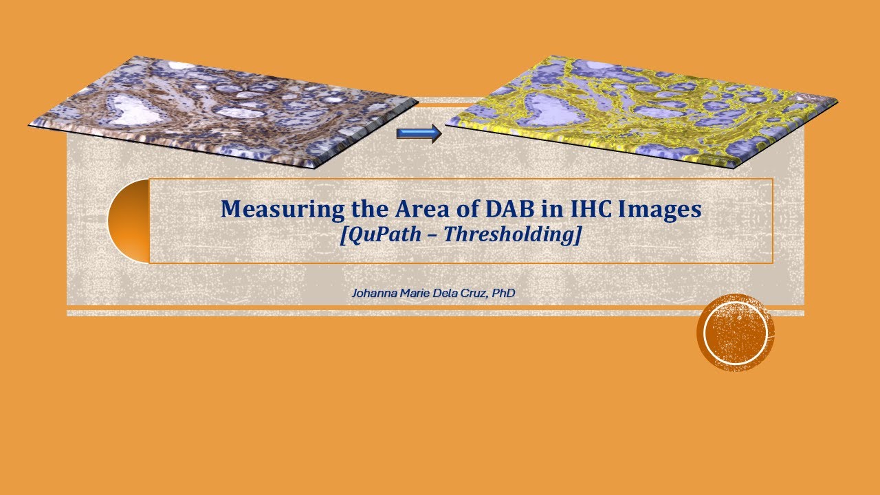 Measuring The Area Of Dab In Ihc Images Qupath Thresholding Youtube
