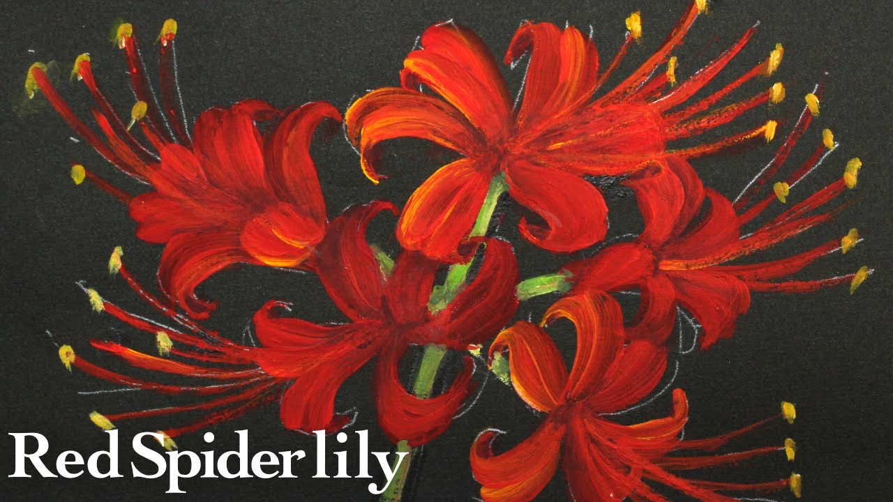 Red Spider Lily Painting In 3 Minutes Youtube