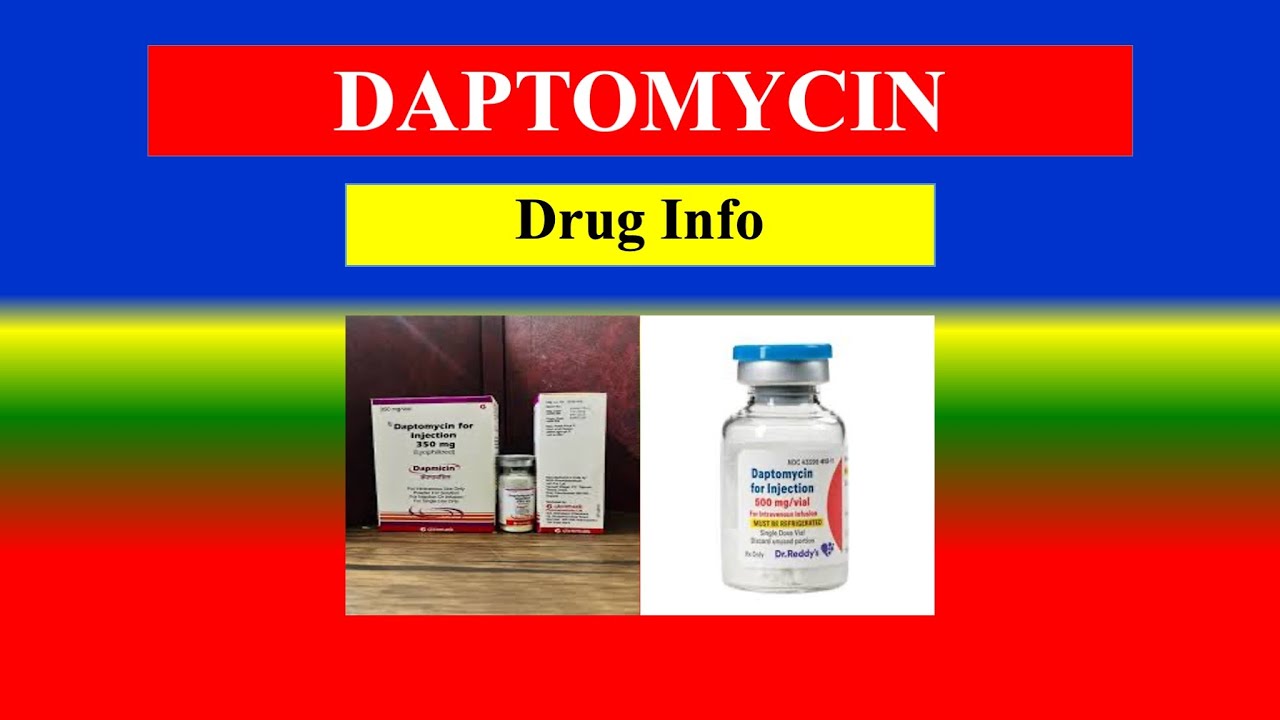 Daptomycin Generic Name Drug Class Brande Name Precautions How