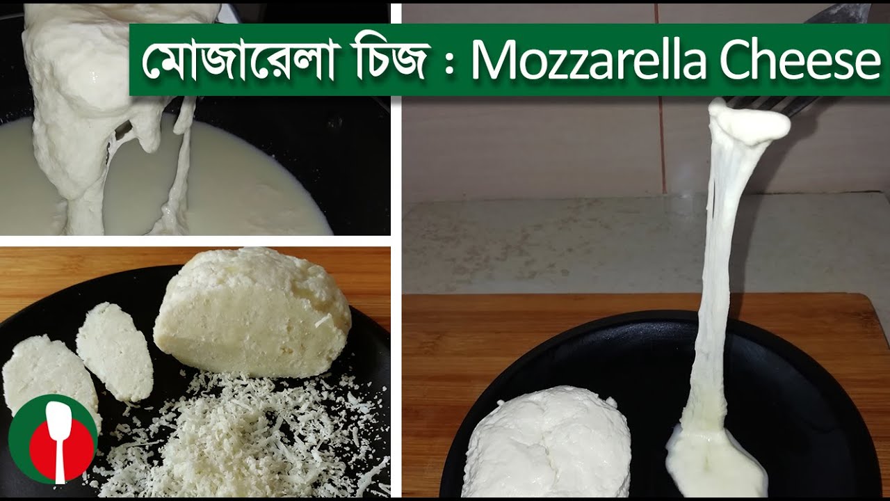 Mozzarella Cheese Homemade Without Rennet At Liam Dun Blog