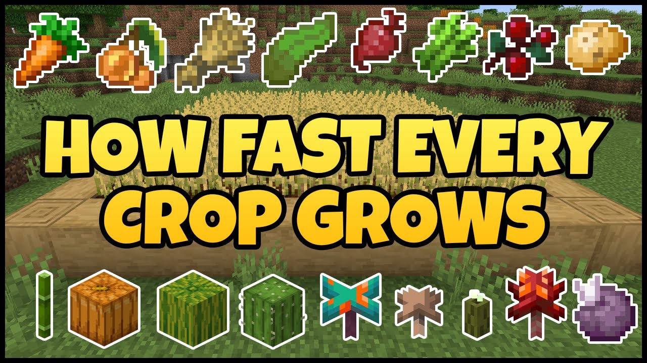 How Fast Every Crop Grows In Minecraft Youtube