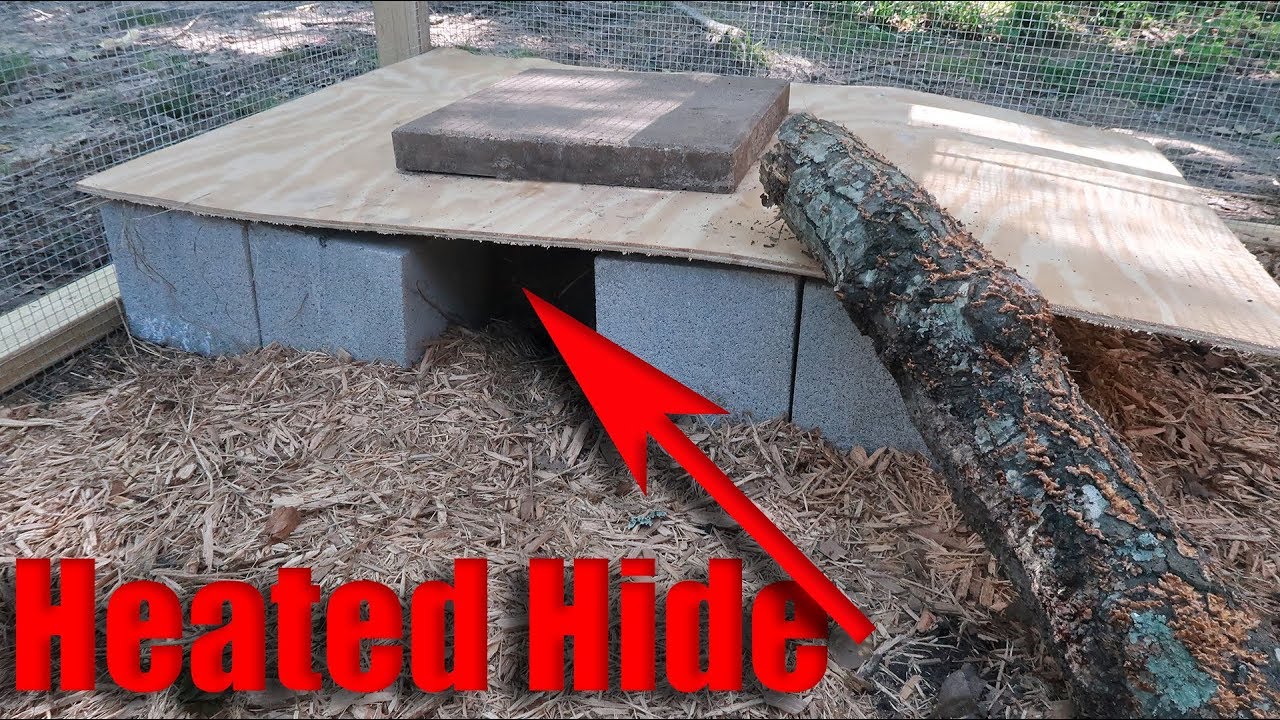 Setting Up Your New Outdoor Enclosure For Tegus Youtube