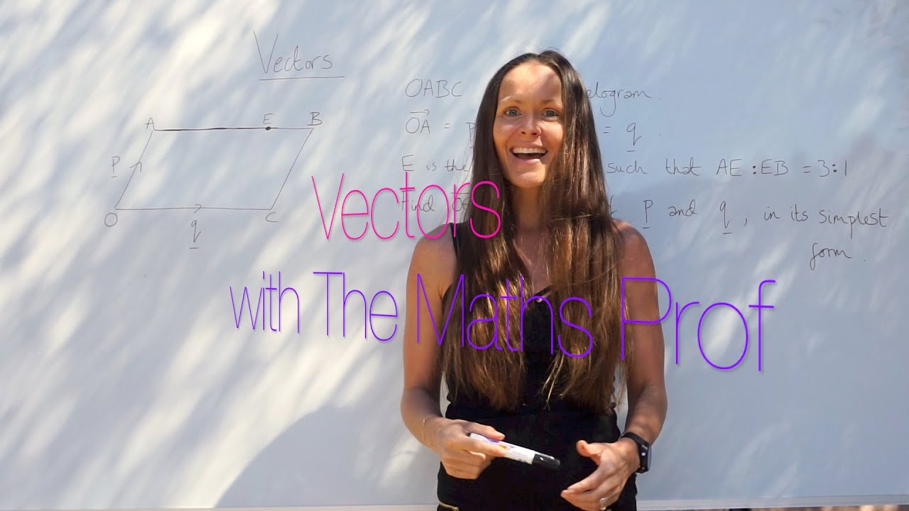 The Maths Prof Vectors Part 1 Youtube